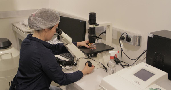 La CNEA en femenino - IMD. Institutos Multidisciplinarios